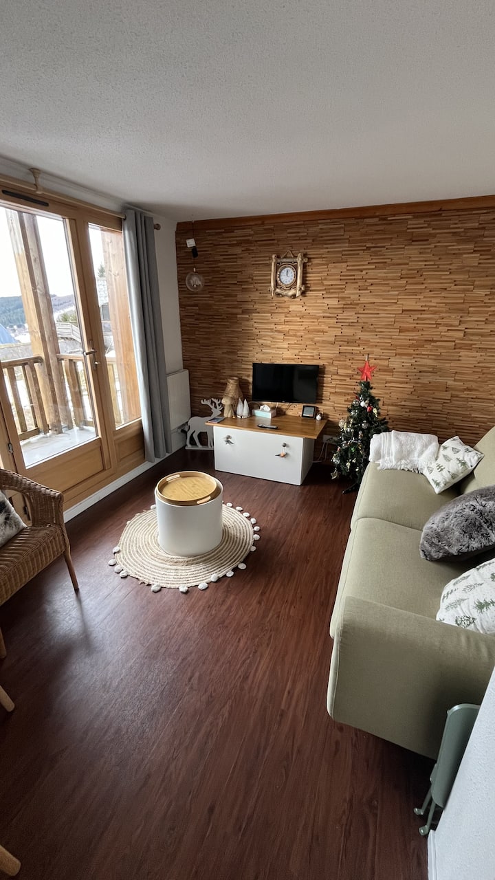 Superbe Vue – Appartement Cosy à Super-besse - Super-Besse