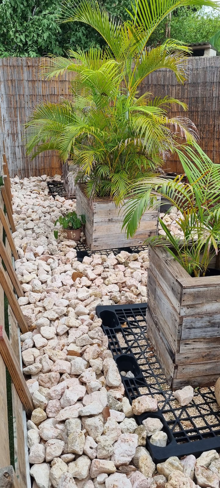 E Luga Guesthous Kamer 4 - Curaçao