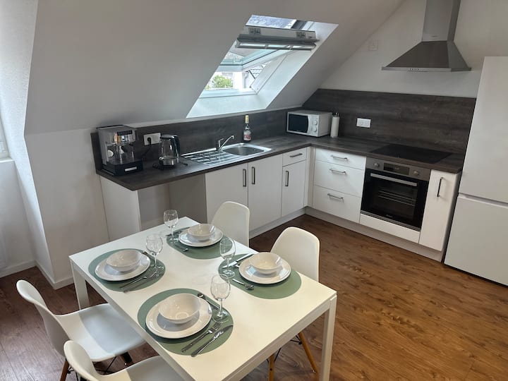 Chambres Dans Un Appart Clim (Uniquement Femme) - Strasbourg