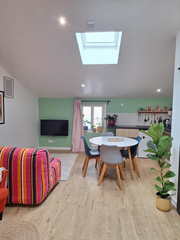 Studio Neuf Avec Terrasse à Partager - Gaillac