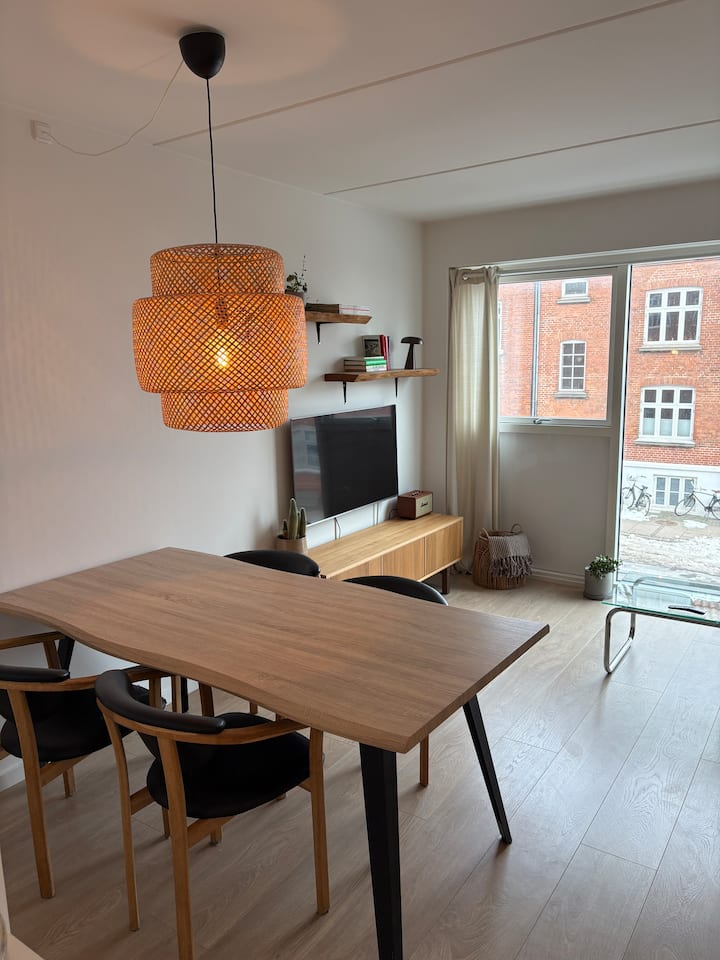 2 Værelses Lejlighed Aarhus (Trøjborg) - Danemark