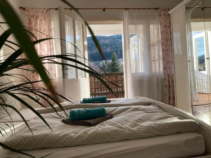 4 Betten+kibe Ferienwohnung Im Zentrum Payerbachs - Reichenau an der Rax