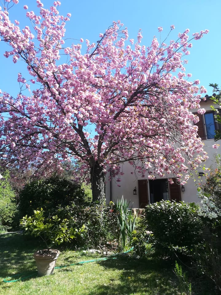 La Mattonaia - Siena