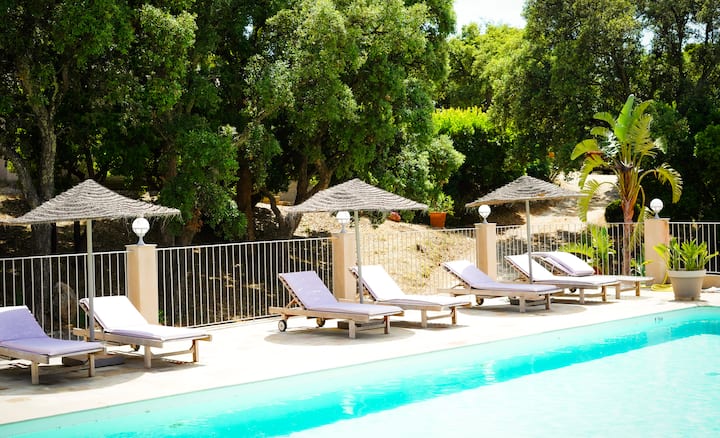 Appart Angèle 2/4 Pers
Piscine/ /Parking - 博爾默勒米莫薩