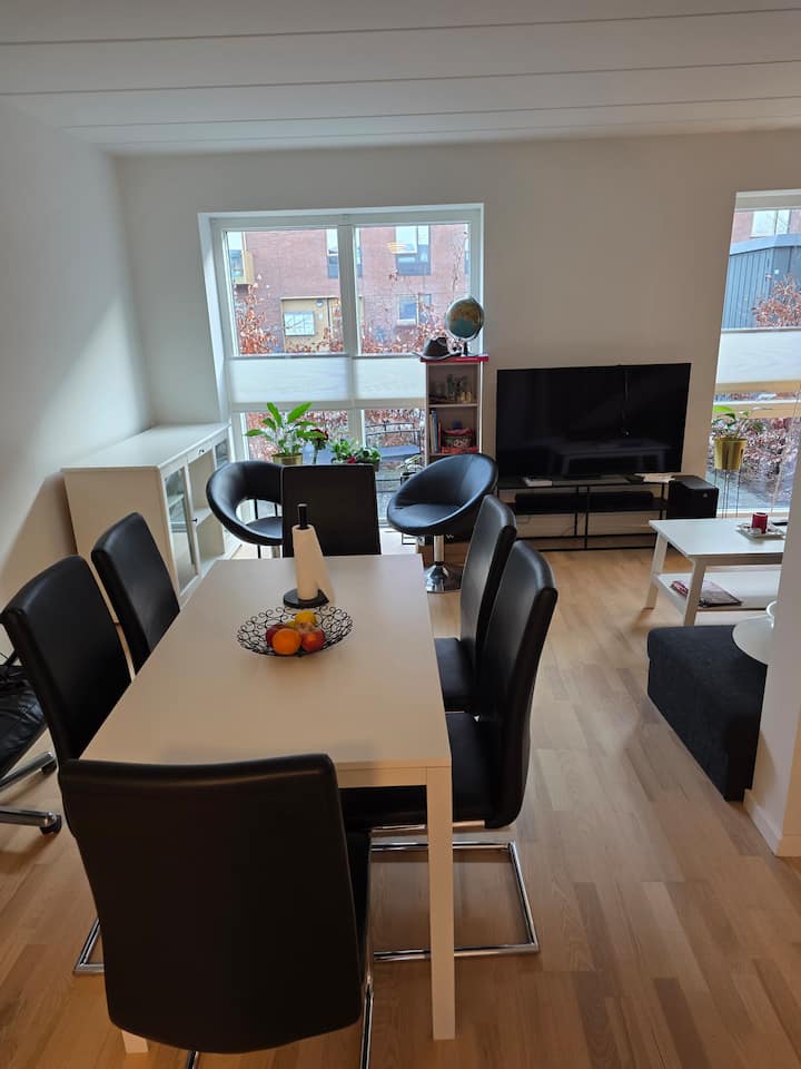 Dejligt, Nybygget Rækkehus, Centralt I  Odense - Odense