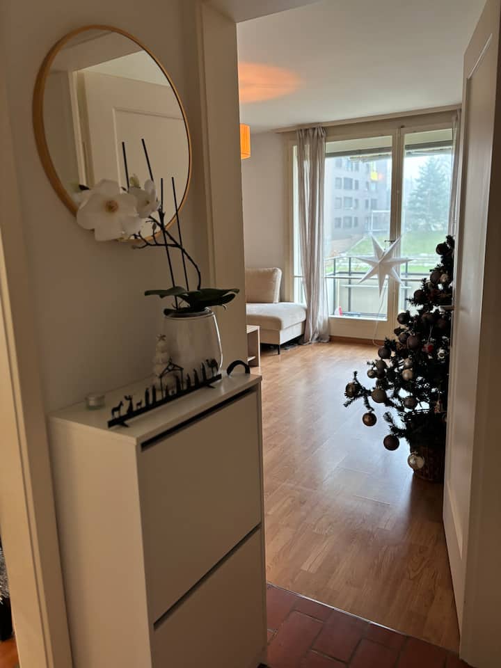 Apartment In Zürich - Zurich