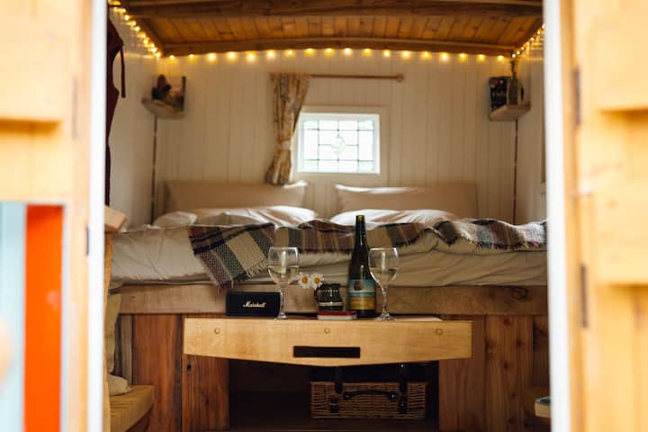 Shepherds Hut, Under Starry Skies, Carmarthenshire - Llandeilo