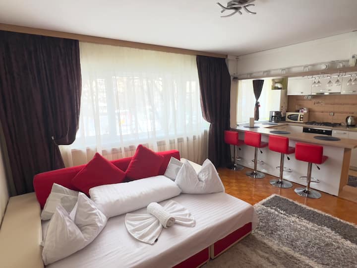 Palace Square Apartment With Self Checkin - Județul Iași