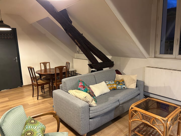 Appartement De Charme En Centre-ville - Nevers