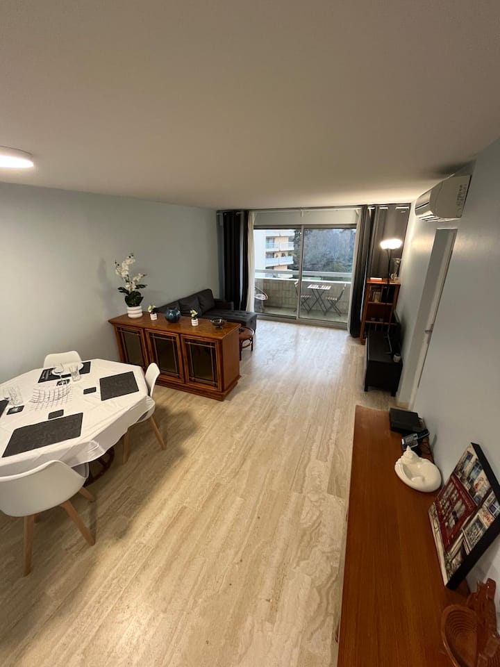 La Perle/4 Personnes, Parking Gratuit, Clim! - Montpellier