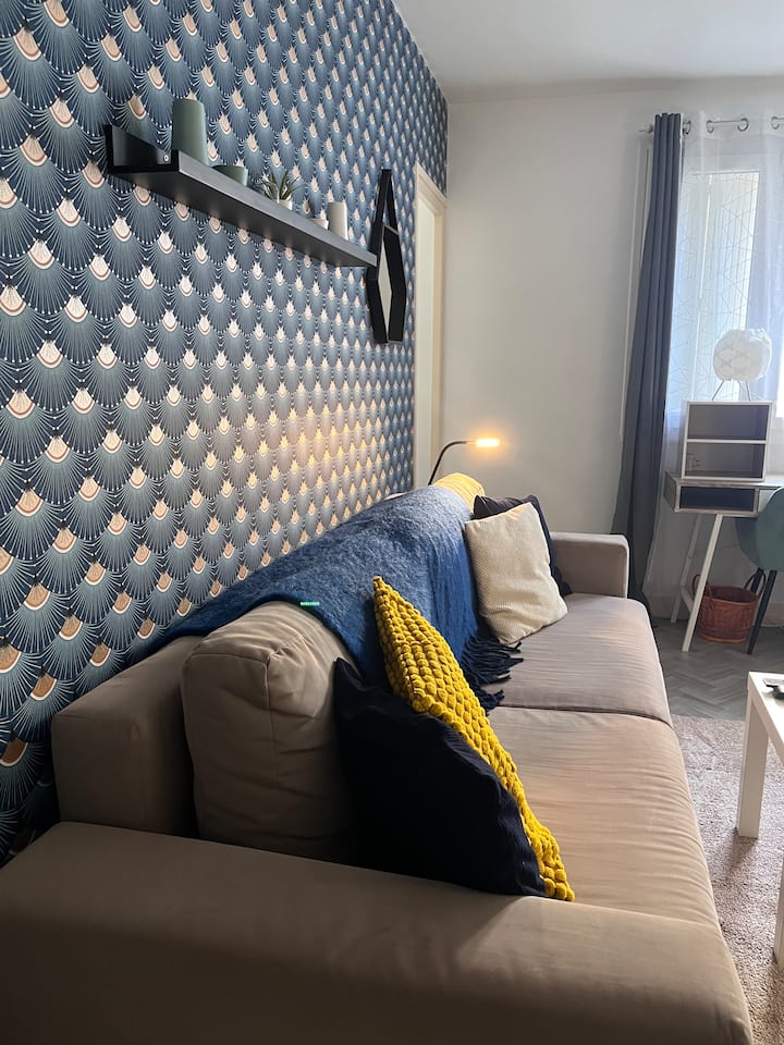 Le Bretonneau Ledru Rollin - Tours