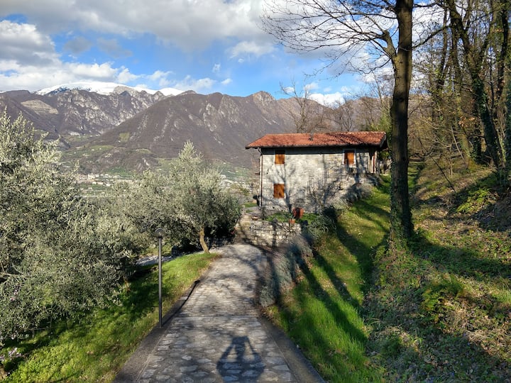 Oasi Delle Querce Vista Lago Natura A Monte Isola - Italie