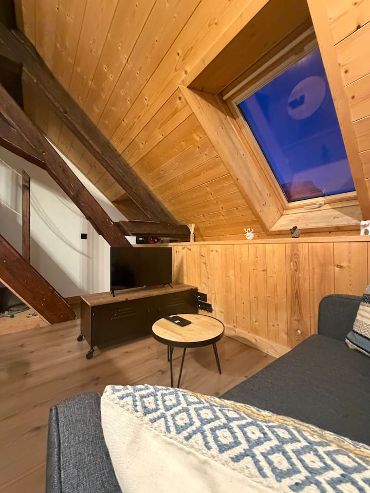 Studio Plein Centre à Sallanches - Sallanches