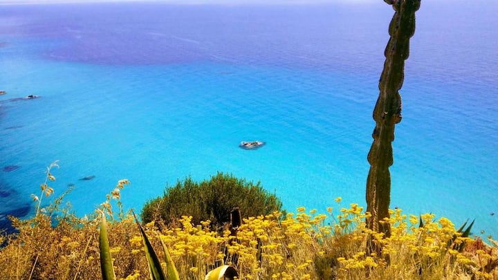A Casa Di Manu Villa Garden - Calabria