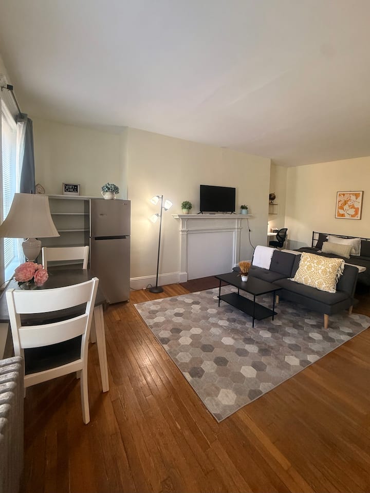 Elegant 1bedroom Apt In Beacon Hill - West End - Boston