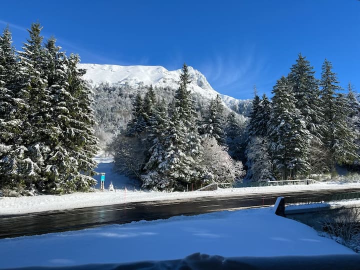 Mont Dore Type Chalet Pied Montagne 1-6 Personnes - Chambon-sur-Lac