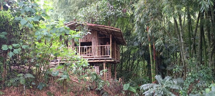 Alojamiento En La Naturaleza
Rústico Y Natural - Marsella