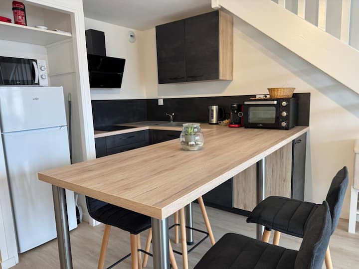 Studio Duplex Entre Lac Et Centre- Idéal Curistes - Aix-les-Bains