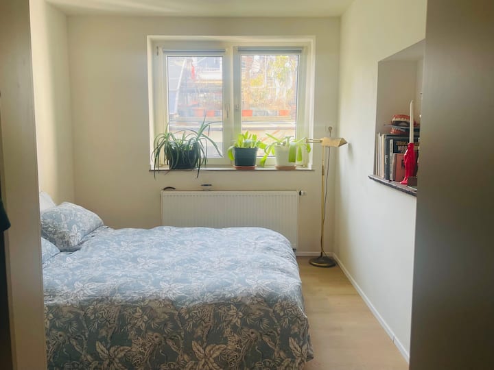 Cozy Home Apartment In The Middle Of Cologne - Cologne