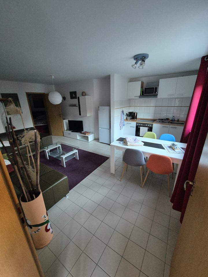 2-raum-wohnung Voll Ausgestattet. 15 Min - Dresden - Coswig