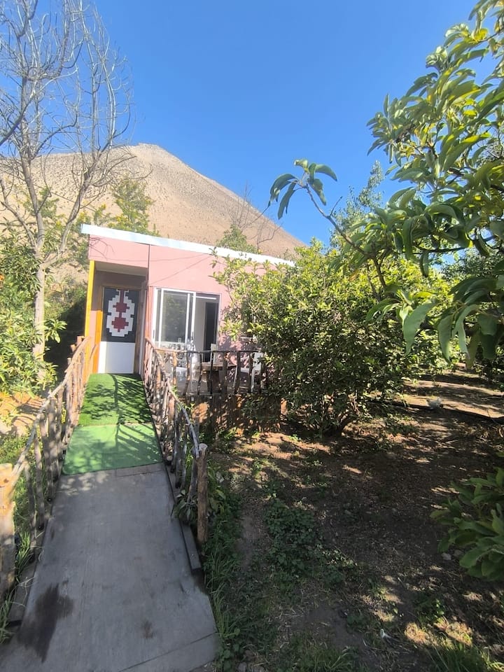 Jardín Secreto (Cabaña Díaguitas) - Vicuña