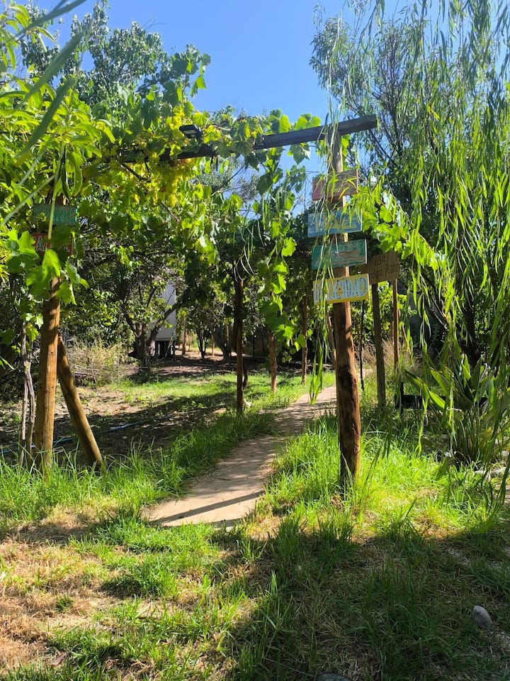 Jardín Secreto (Cabaña Verde) - Elqui