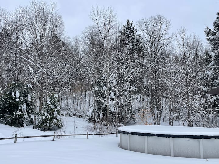Four Season Adirondack Forest Retreat - Adirondack, NY