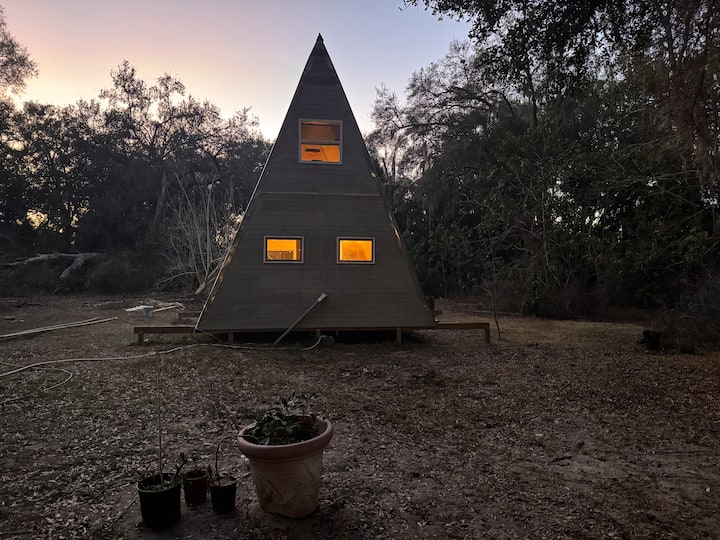 A Frame At Jai Jungle Near The Springs In Nature - Lake Weir, FL