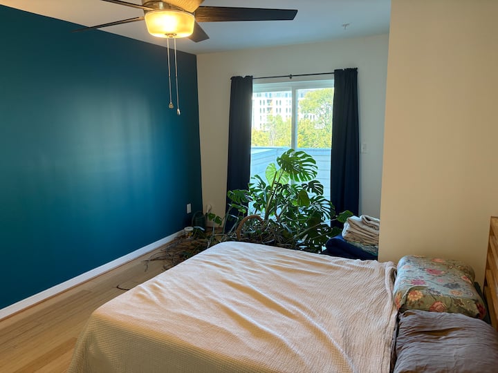 Private Penthouse Bed And Bath In Townhome By Uva - Charlottesville, VA