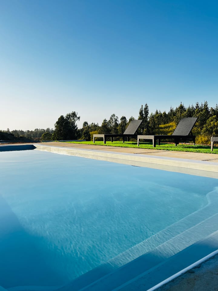 Refugio Del Lobo, Algarrobo. - Algarrobo