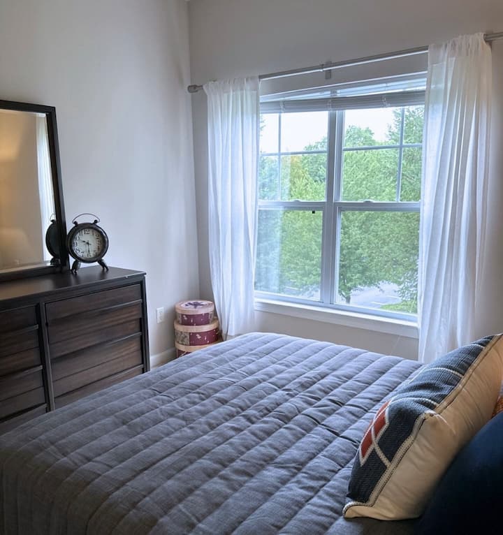 One Bedroom One Bath Luxury Apartment. - Waltham, MA