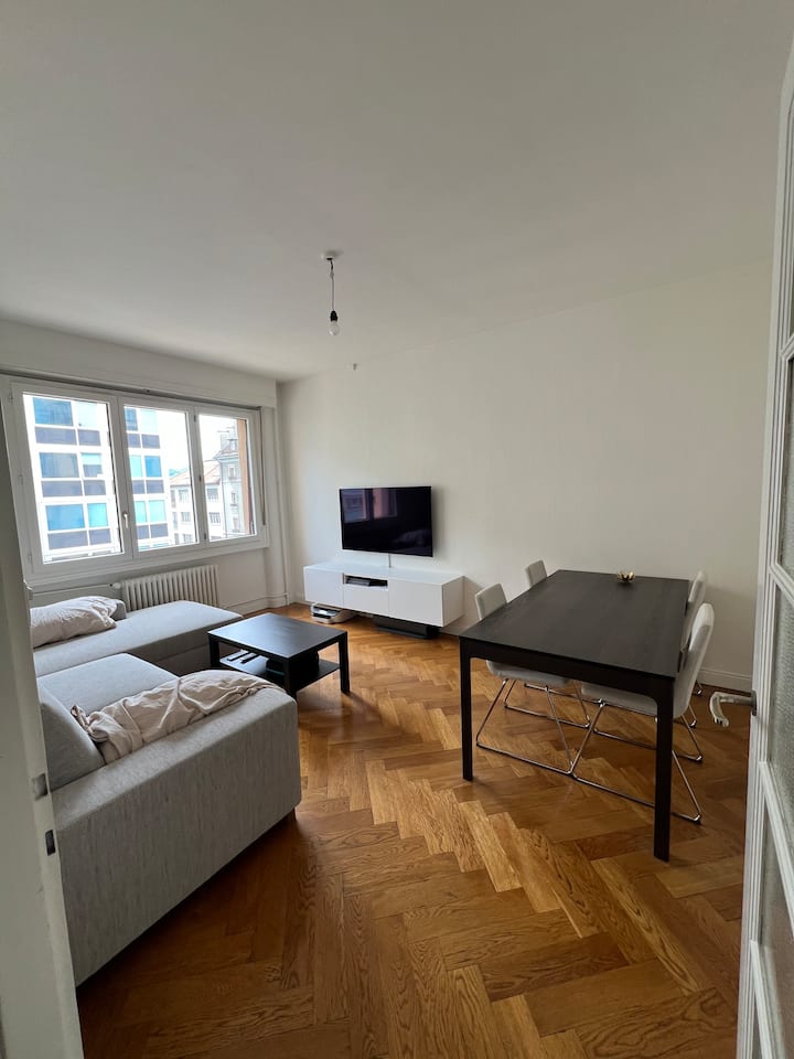 Idéalement Situé, Spacieux, Lumineux Et éQuipé. - Genf