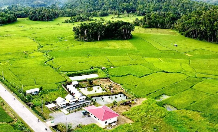 Cabin Rooms At Jazz Ferme Inn Batuan Bohol Phils. - Batuan