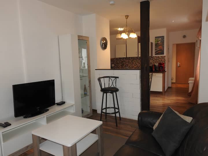 Apartment Mit Gartenblick Im Rosenhof. Fewo 5 - Pirna
