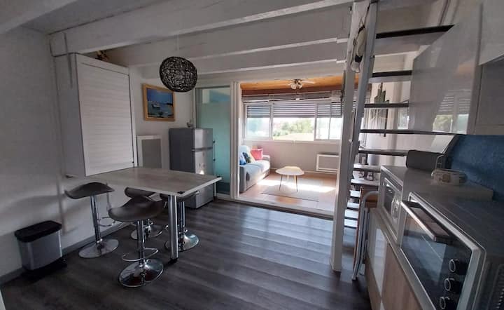 Location Saisonnière  T3 - Marseillan