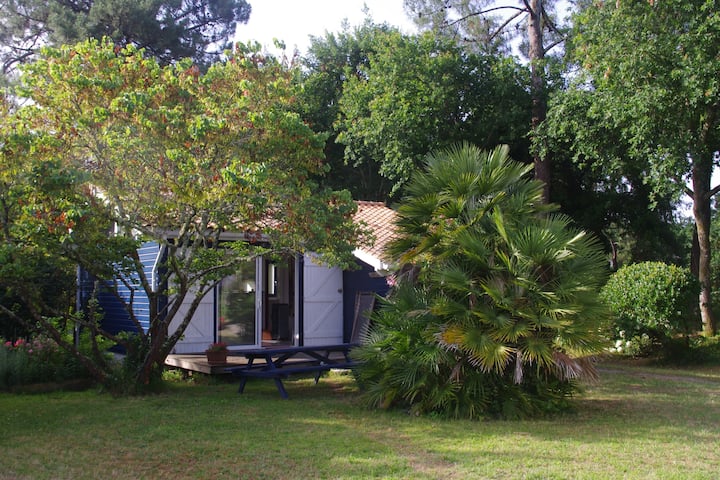 Dépendance Kerala - Capbreton