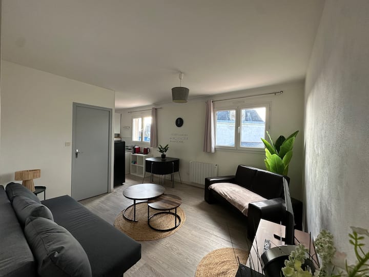 Appartement Bourg De Pont Saint Martin - Bouguenais