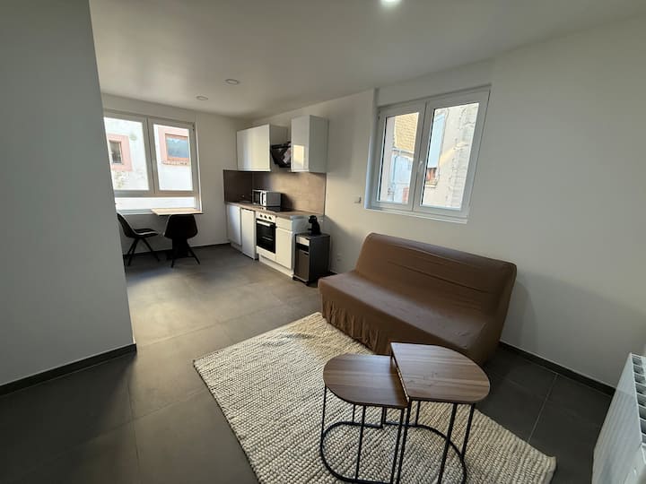 Appartement T2 Meublé - Hambach