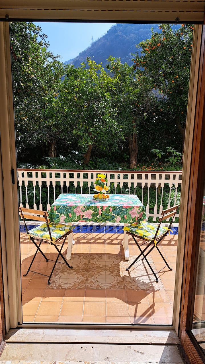 The Garden Rose - Sant'Agnello