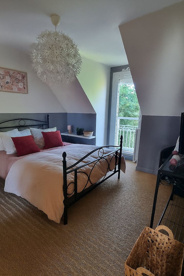 Grande Maison Parc Et Jeux, Proche Paris/disney. - Brie-Comte-Robert