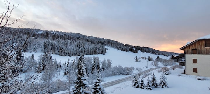 Appartement Dans Un Chalet Au Bord Des Pistes - Lamoura