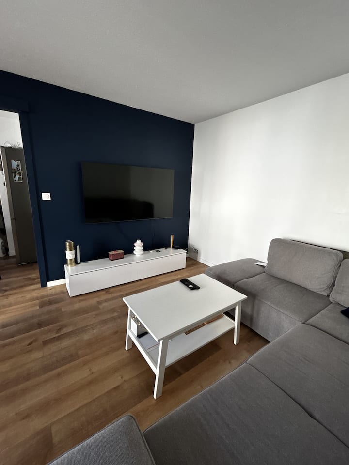 Appartement Cosy Et Lumineux Au Cœur De La Ville - Le Mans
