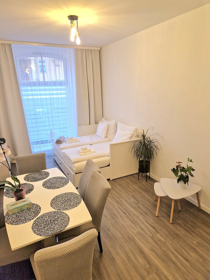 Apartment Natali - Karlovy Vary
