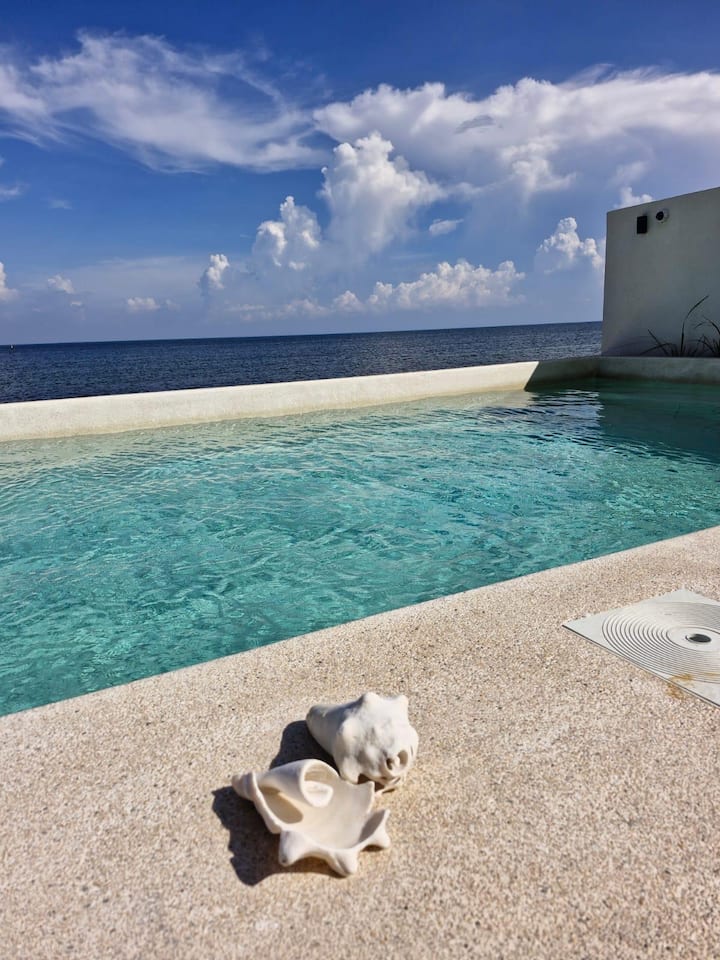 Beachfront Apartment Mangrove View. - Puerto Morelos