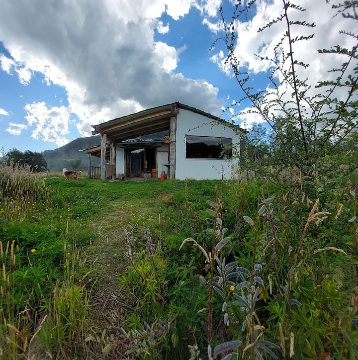 Paradisiaca Cabaña - Aysén