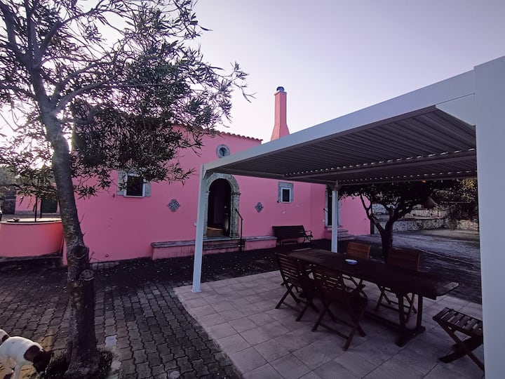 Meravigliosa Villa Immersa In Campagna Con Uliveto - Peschici