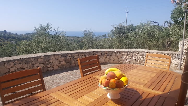 Meravigliosa Villa, Immersa In Uliveto - Peschici
