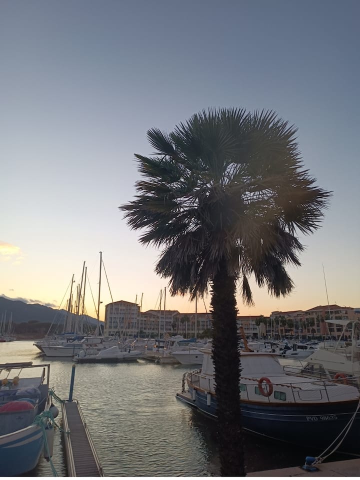 Argeles Sur Mer Plage - Argelès-sur-Mer