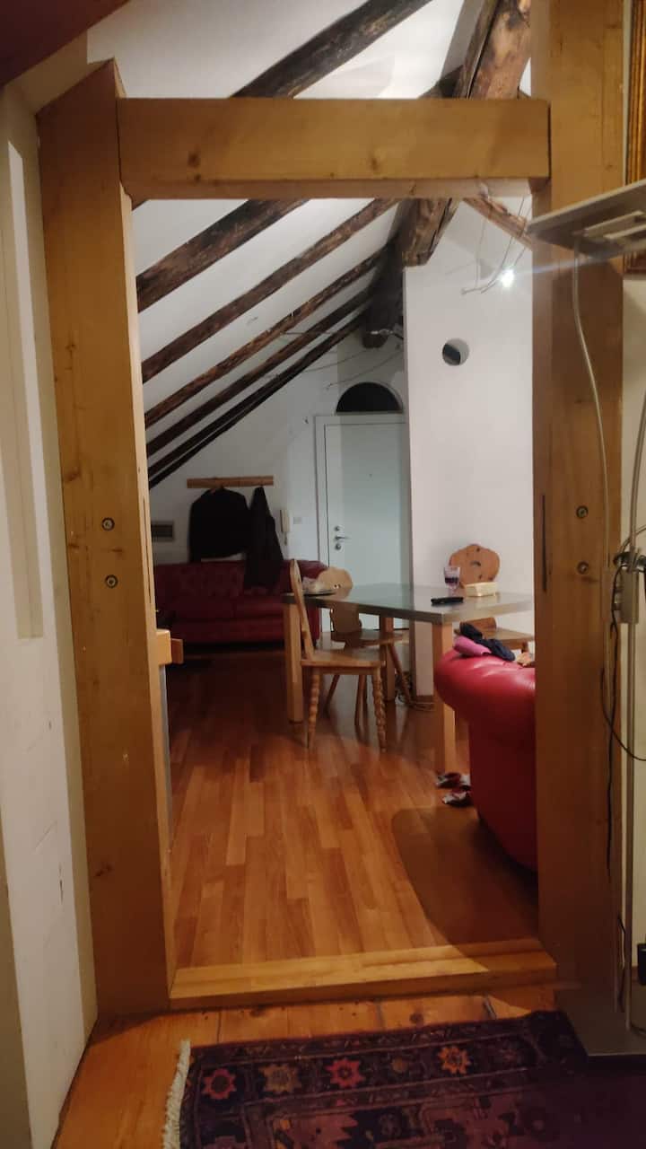 Panorama Dachwohnung - Bolzano