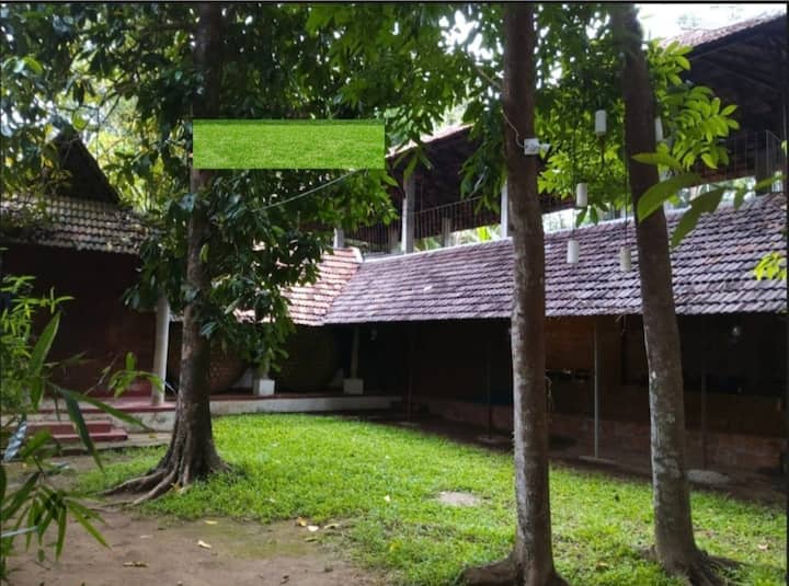 Kayaking & Authentic Village Life Experience In Ke - Kottayam